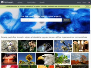 15+ Top Sites to Download Free Stock Photos | UIdeck